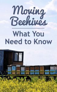 Moving Beehives: What You Need to Know - Backyard Beekeeping